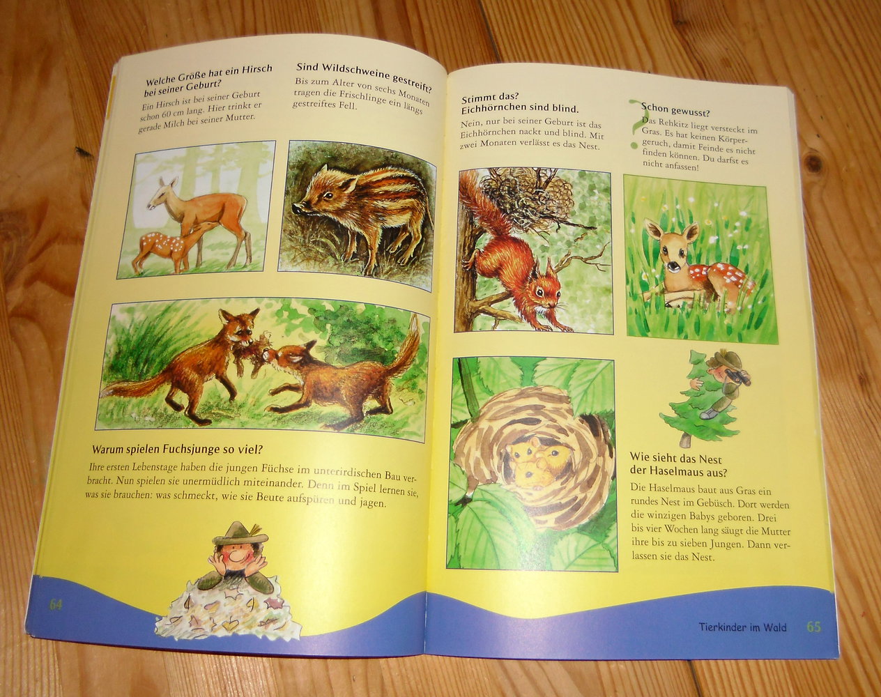Tiere - 200 Fragen und Antworten - Sachbuch für Kinder ab 6 Jahren ... Tiere - 200 Fragen und Antworten - Sachbuch für Kinder ab 6 Jahren ...
